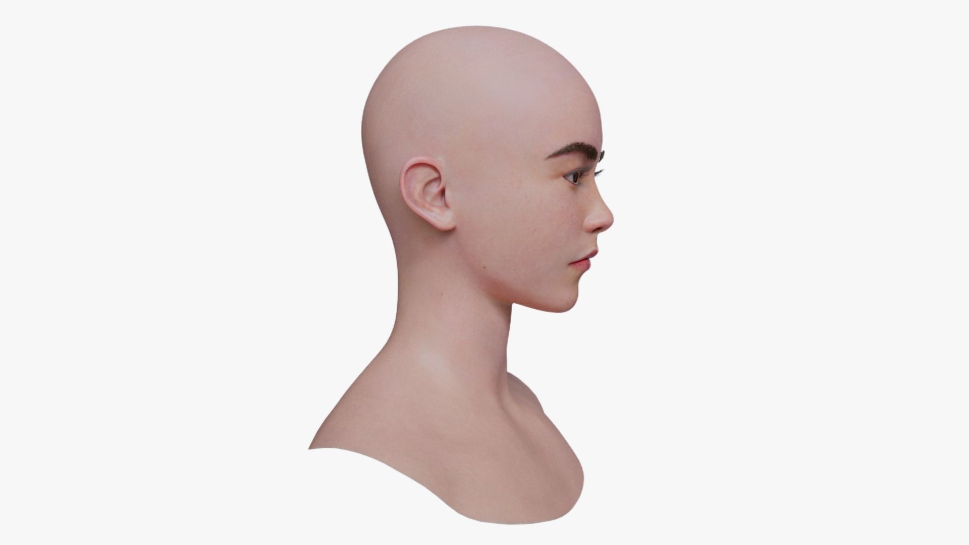 Asian Female Head Mesh Metahuman Unreal Topology Asian Girl v1 3D model ...