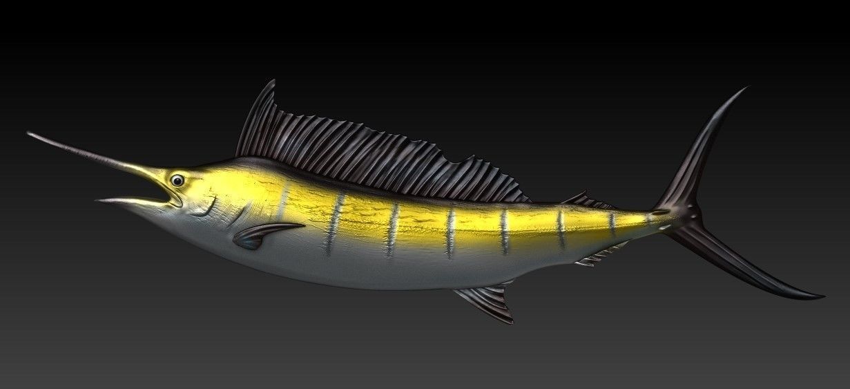 fish marlin 3D model 3D printable | CGTrader