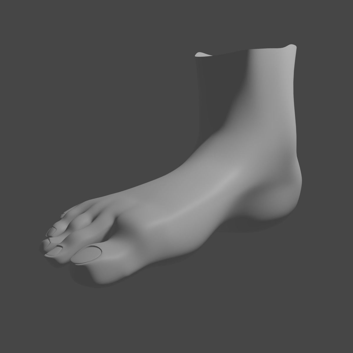 3D model Stylized Foot VR / AR / low-poly | CGTrader