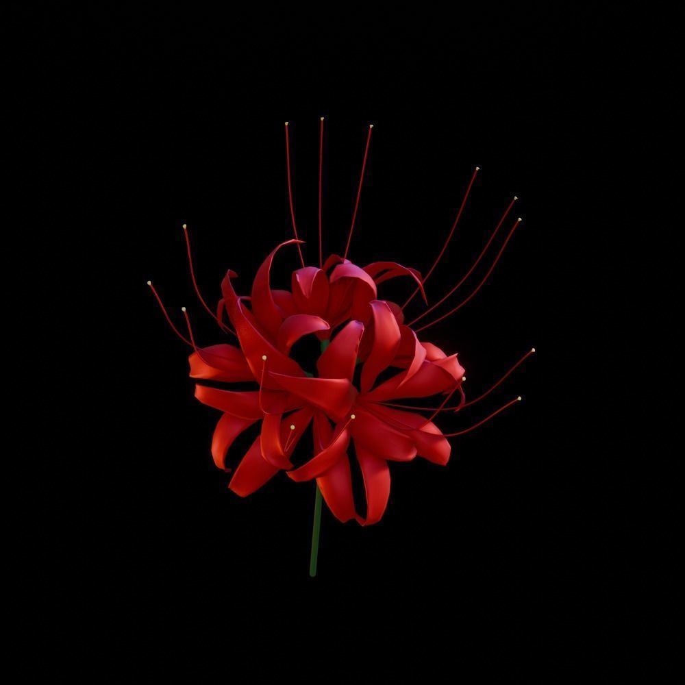 Lycoris free VR / AR / low-poly 3D model | CGTrader