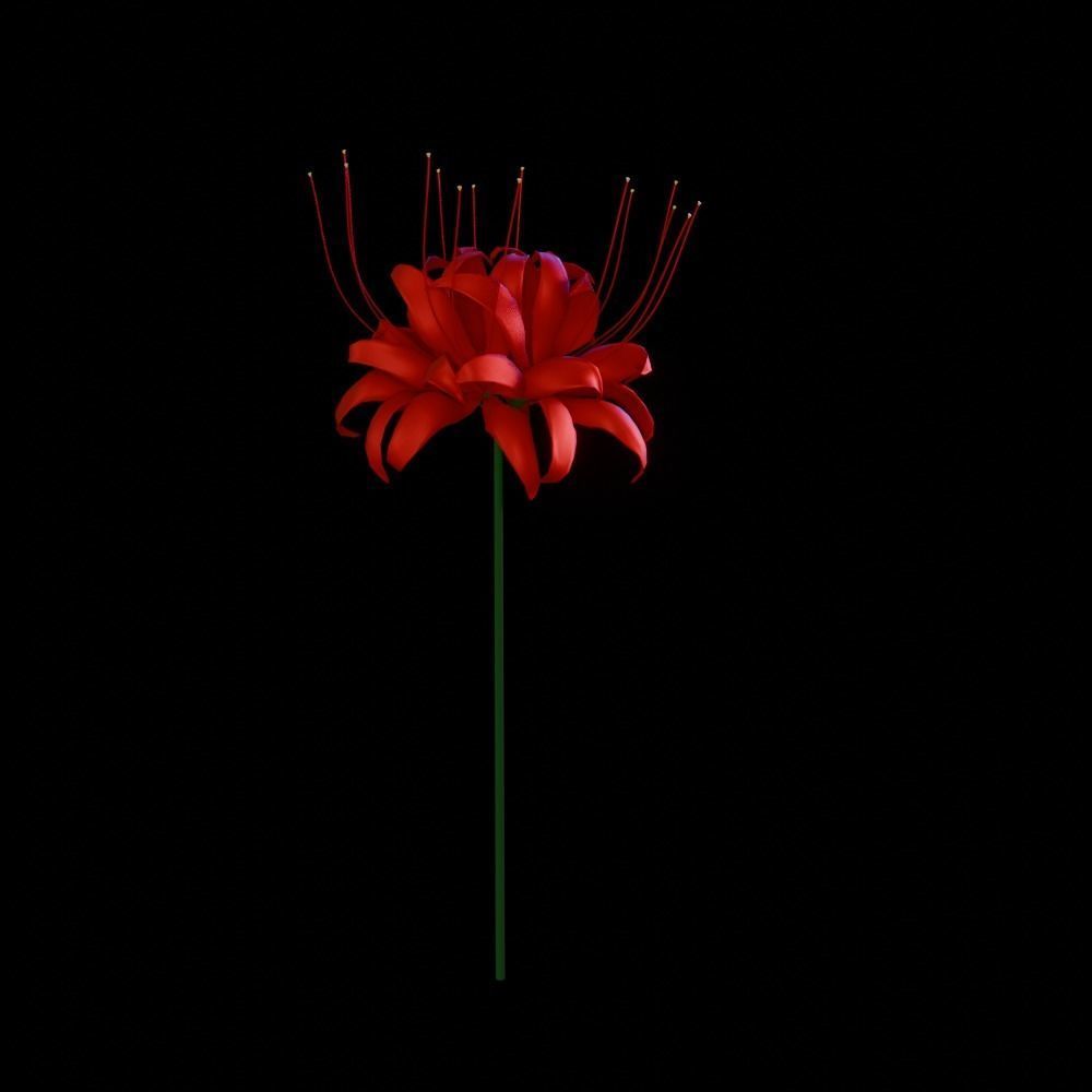 Lycoris free VR / AR / low-poly 3D model | CGTrader