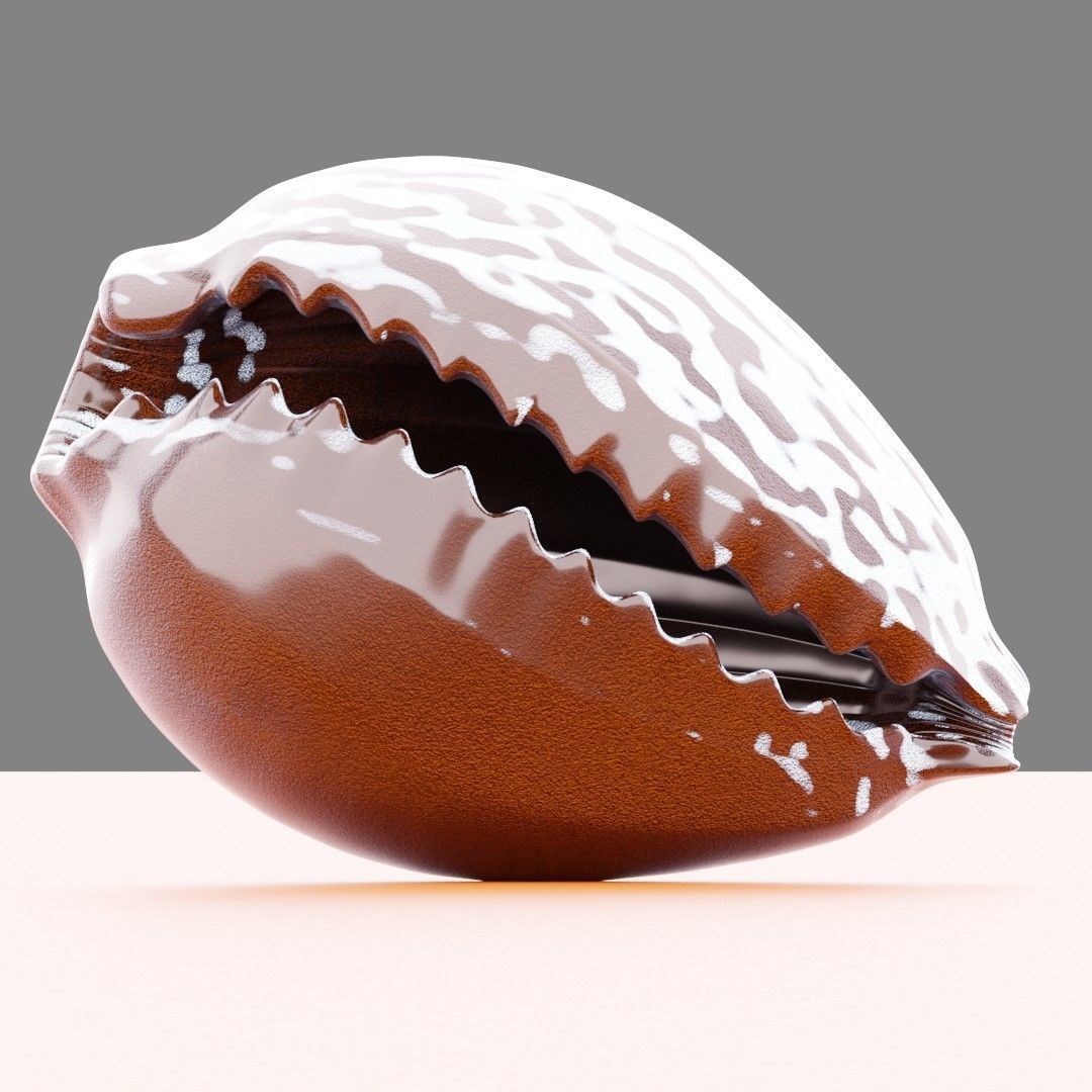 COWRIE SHELL REPLICA 3D model 3D printable | CGTrader