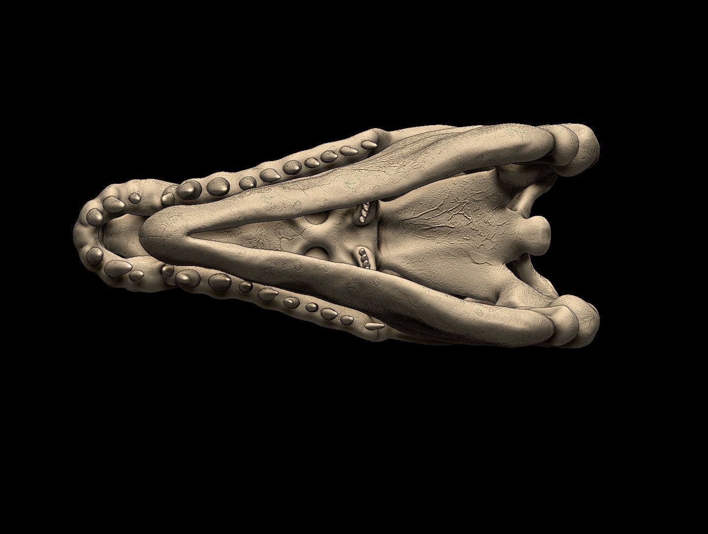 Dimetrodon Skull 3D model 3D printable | CGTrader