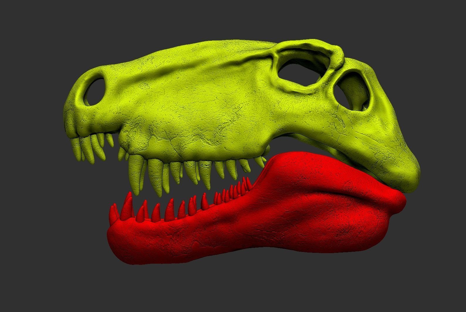 Dimetrodon Skull 3D model 3D printable | CGTrader