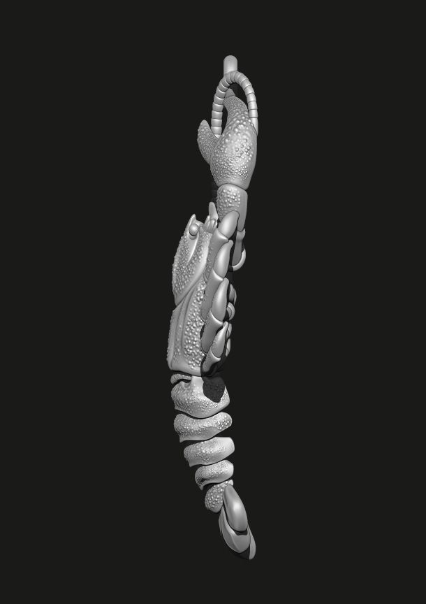 CRAYFISH PENDANT Printable Model free 3D model 3D printable | CGTrader
