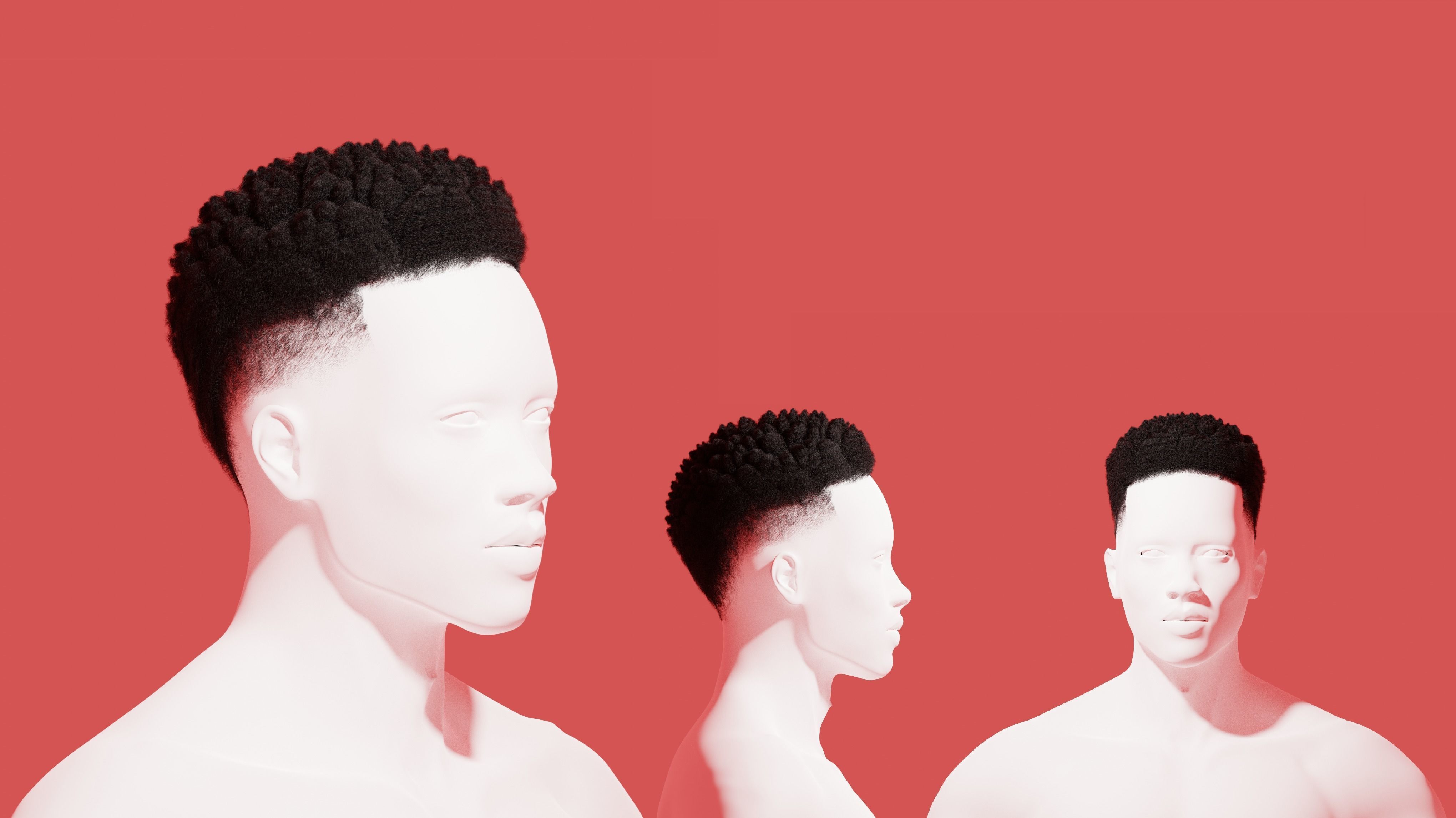 Afro Curl Sponge Fade 3D model | CGTrader