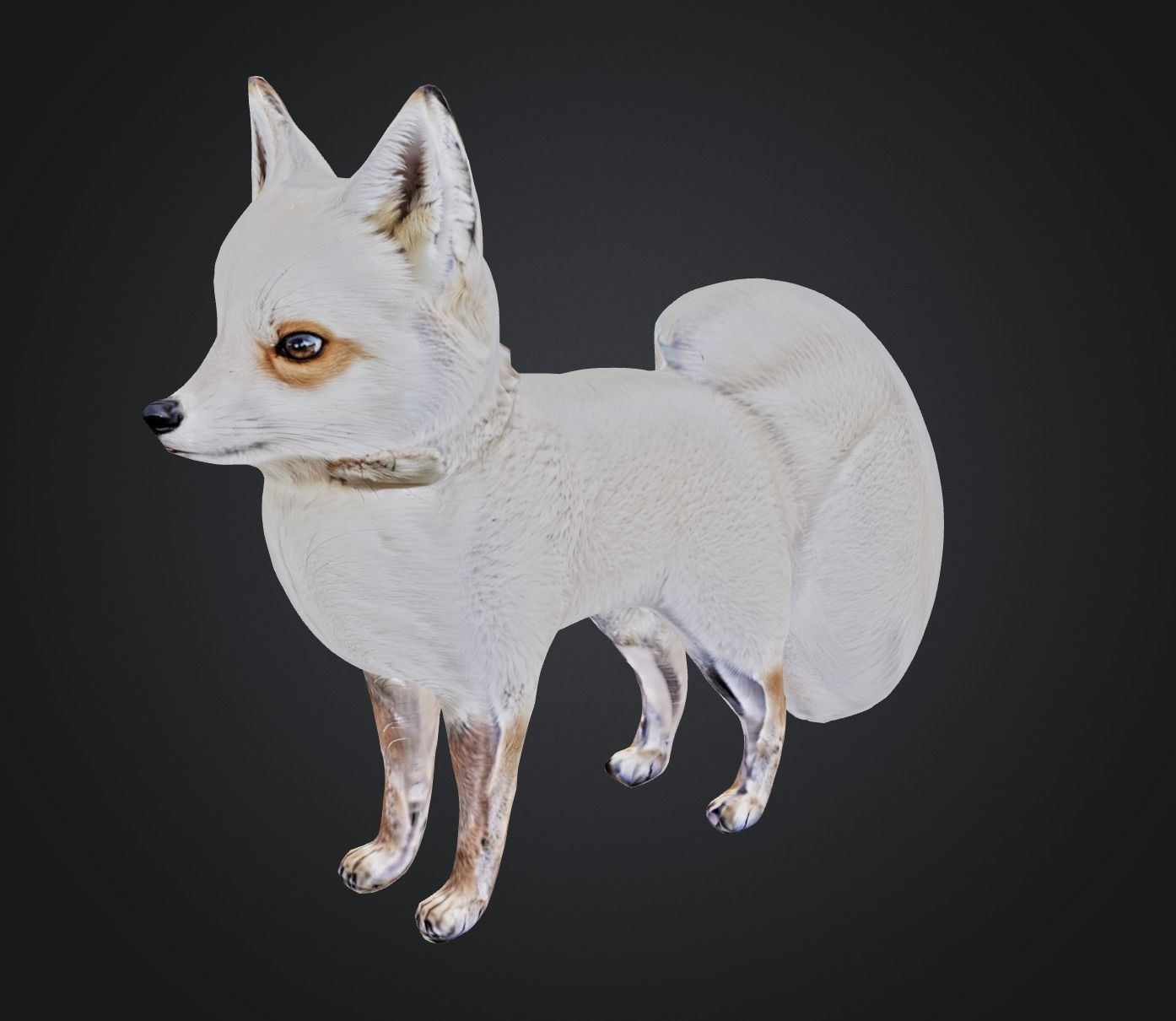 a cute fox 3D model free 3D model | CGTrader
