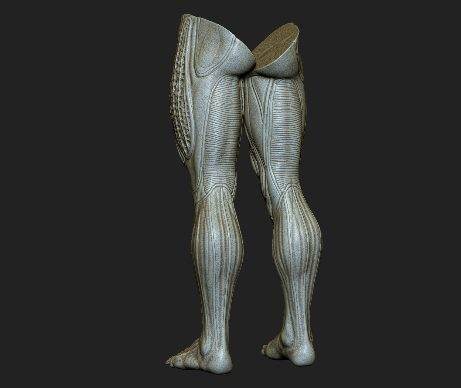 24 Creature Monster Demon Legs 3D model | CGTrader