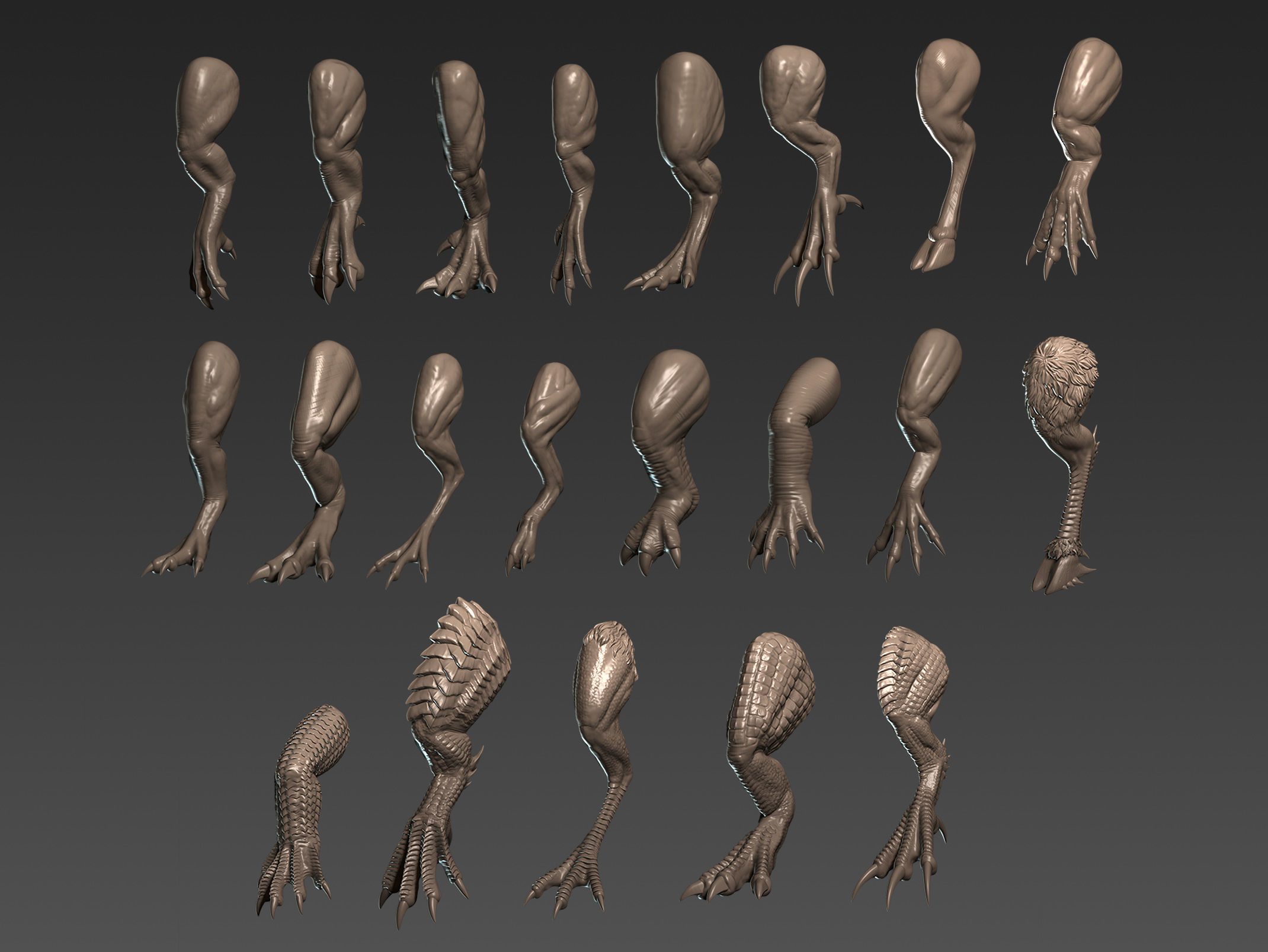 21 Legs and Feet for Dragons and Dinosaurs 3D model | CGTrader
