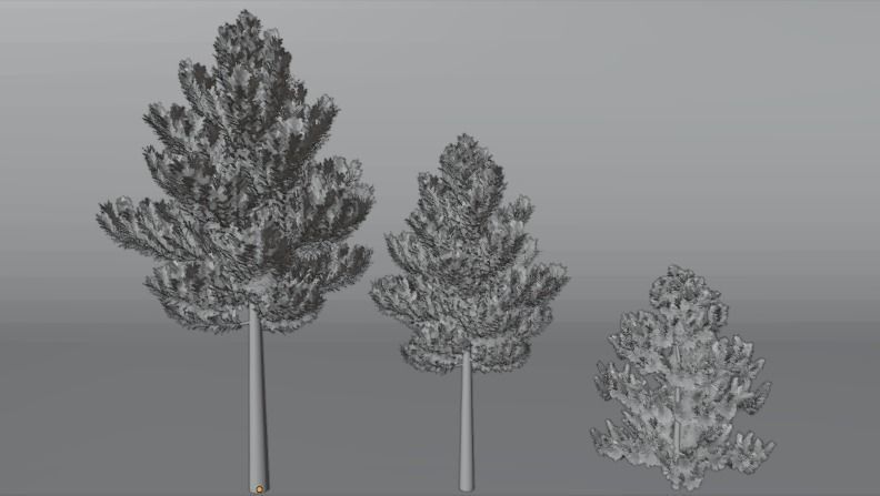 Conifer tree pack low poly 3D model free 3D model rigged | CGTrader
