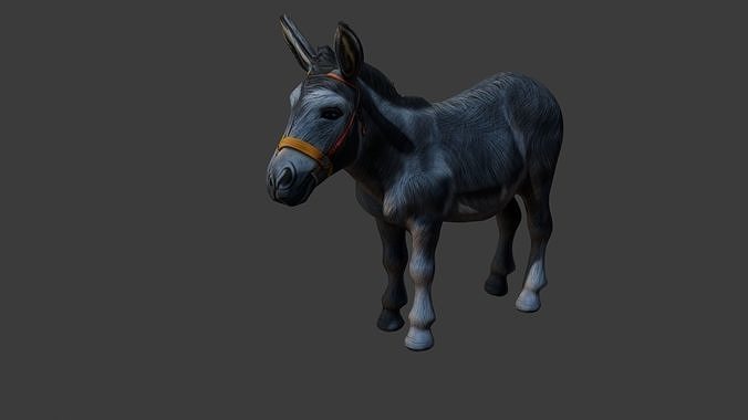 3D model Donkey 3d model VR / AR / low-poly | CGTrader