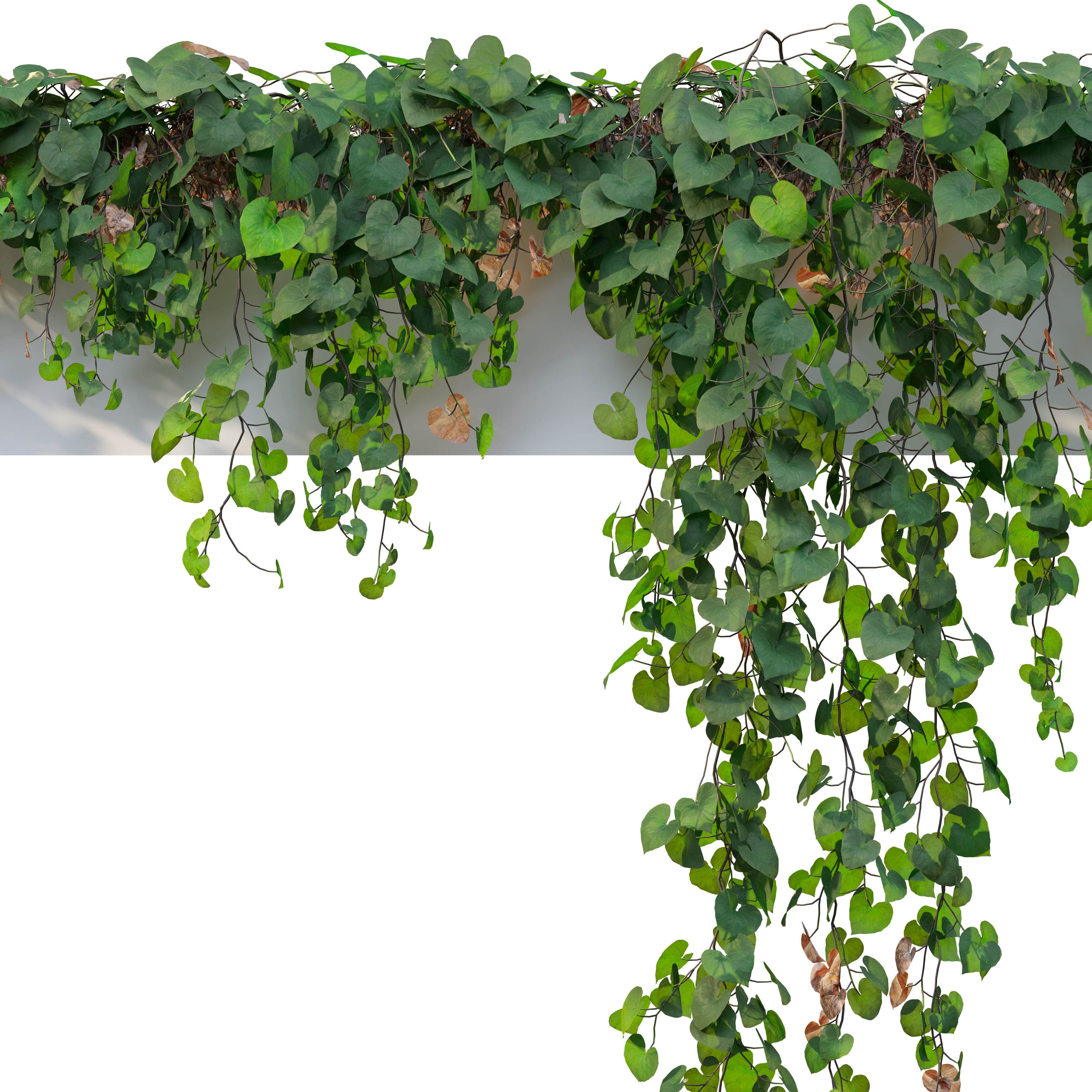 Hanging plant 42 3D model | CGTrader