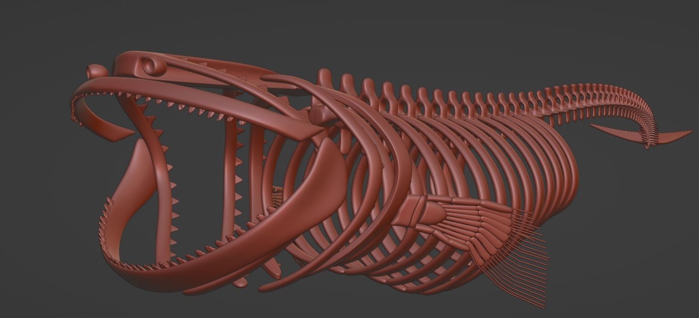 3D model bloop sea monster Skeleton VR / AR / low-poly | CGTrader
