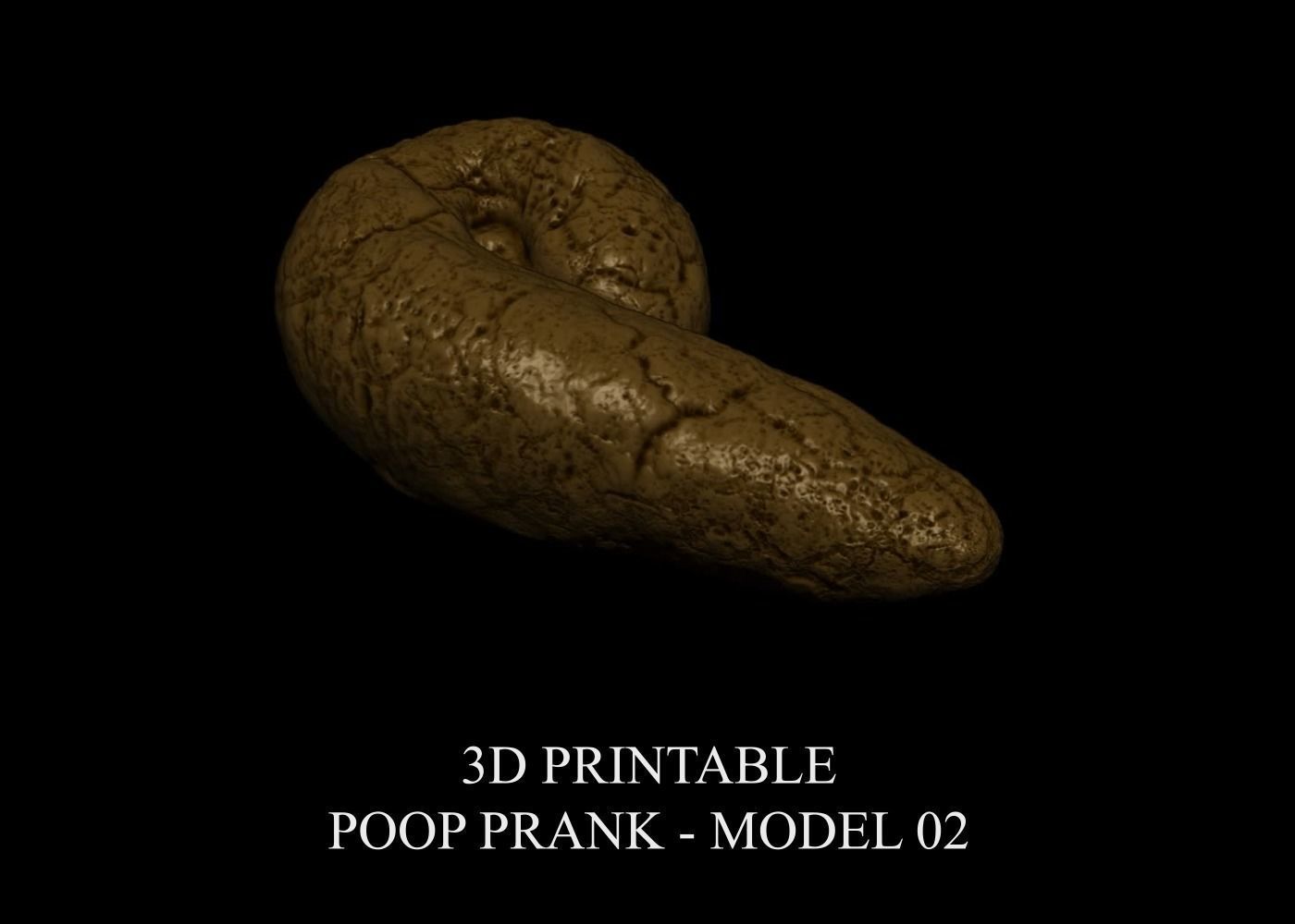 3D PRINTABLE POOP PRANK - MODEL 02 3D model 3D printable | CGTrader