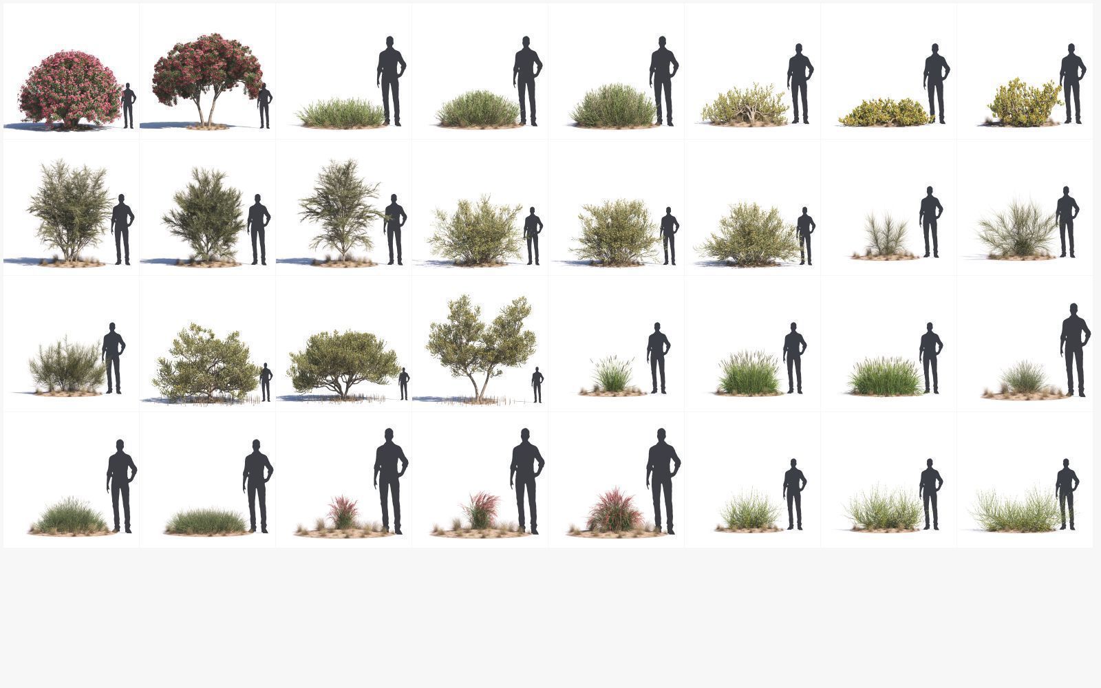 Archmodels vol 276 for c4d - desert plants 3D model | CGTrader