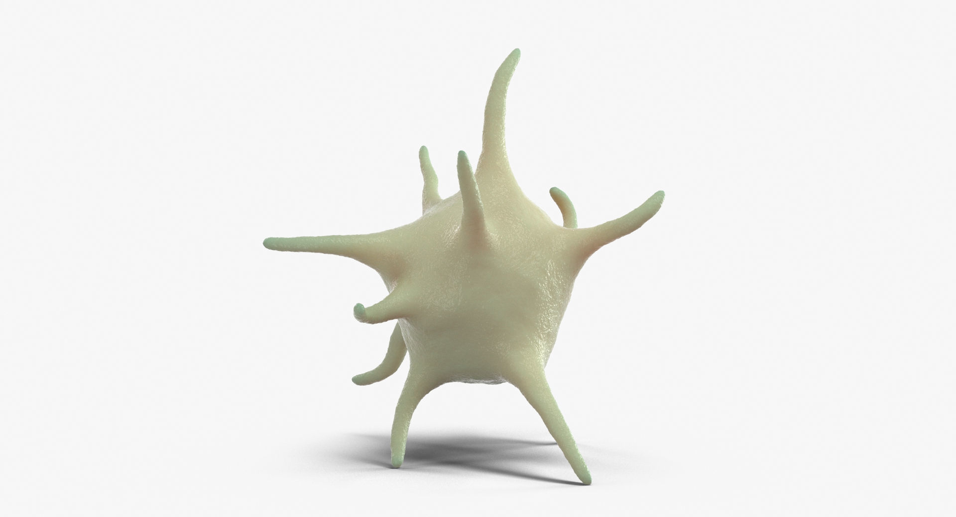 3D model Platelet Thrombocyte 1 VR / AR / low-poly | CGTrader