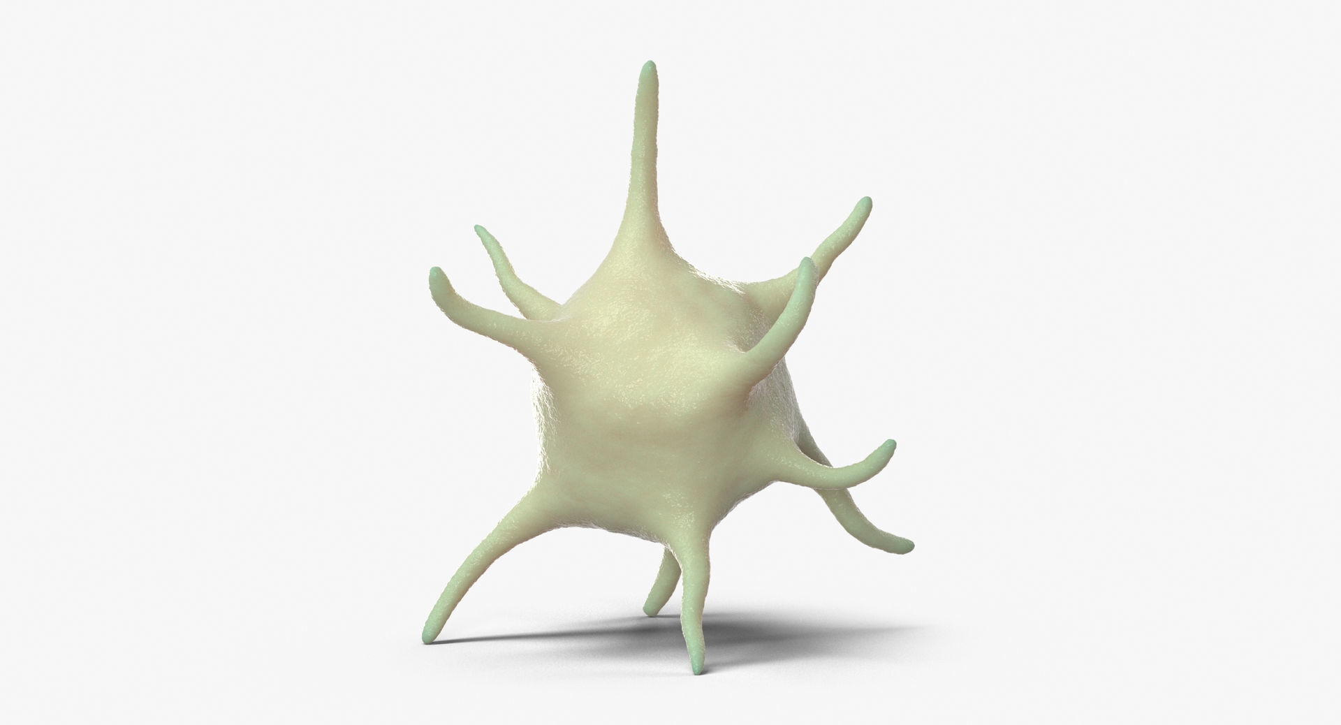 3D model Platelet Thrombocyte 1 VR / AR / low-poly | CGTrader