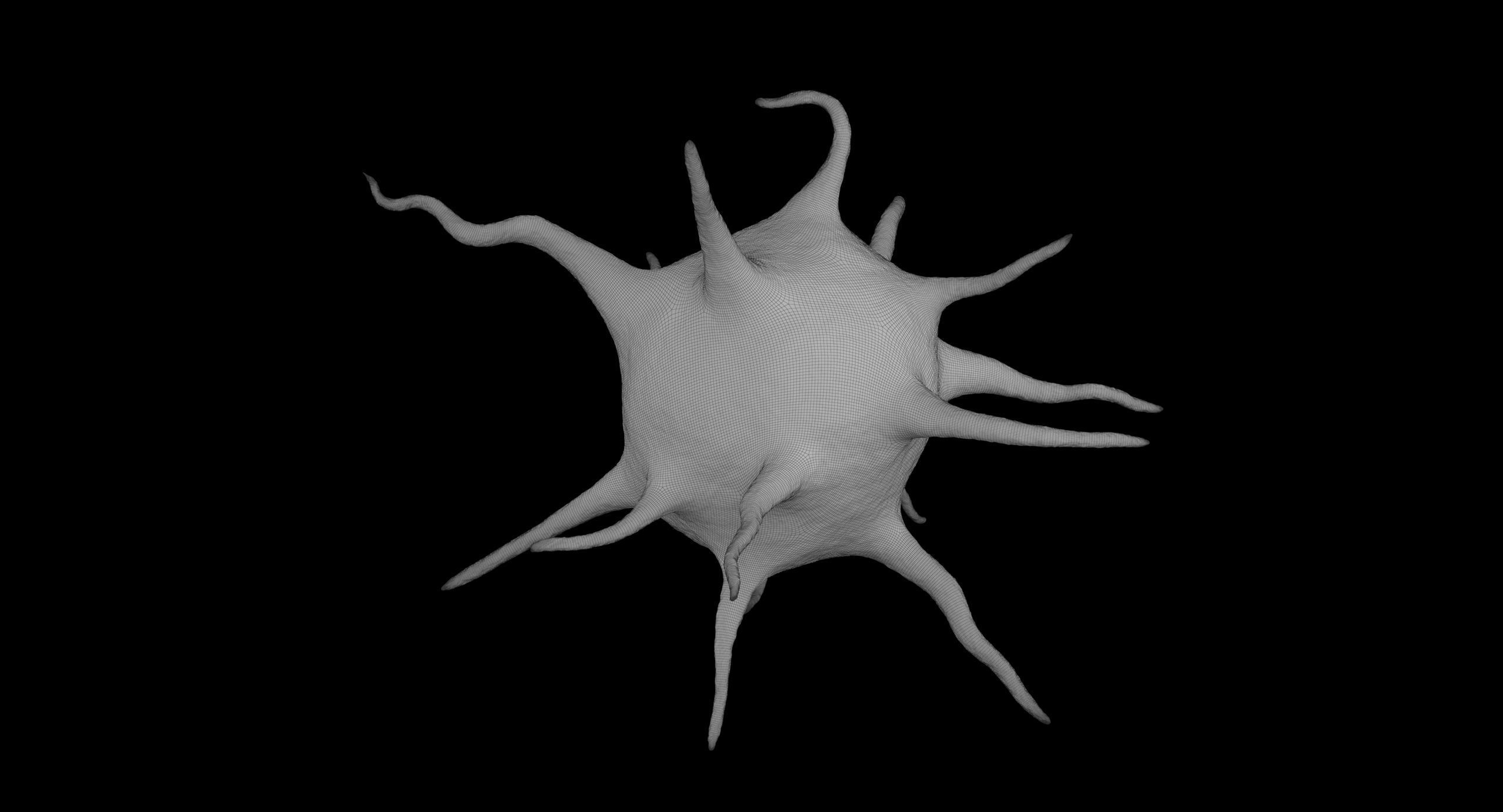 3D model Platelet Thrombocyte 2 VR / AR / low-poly | CGTrader