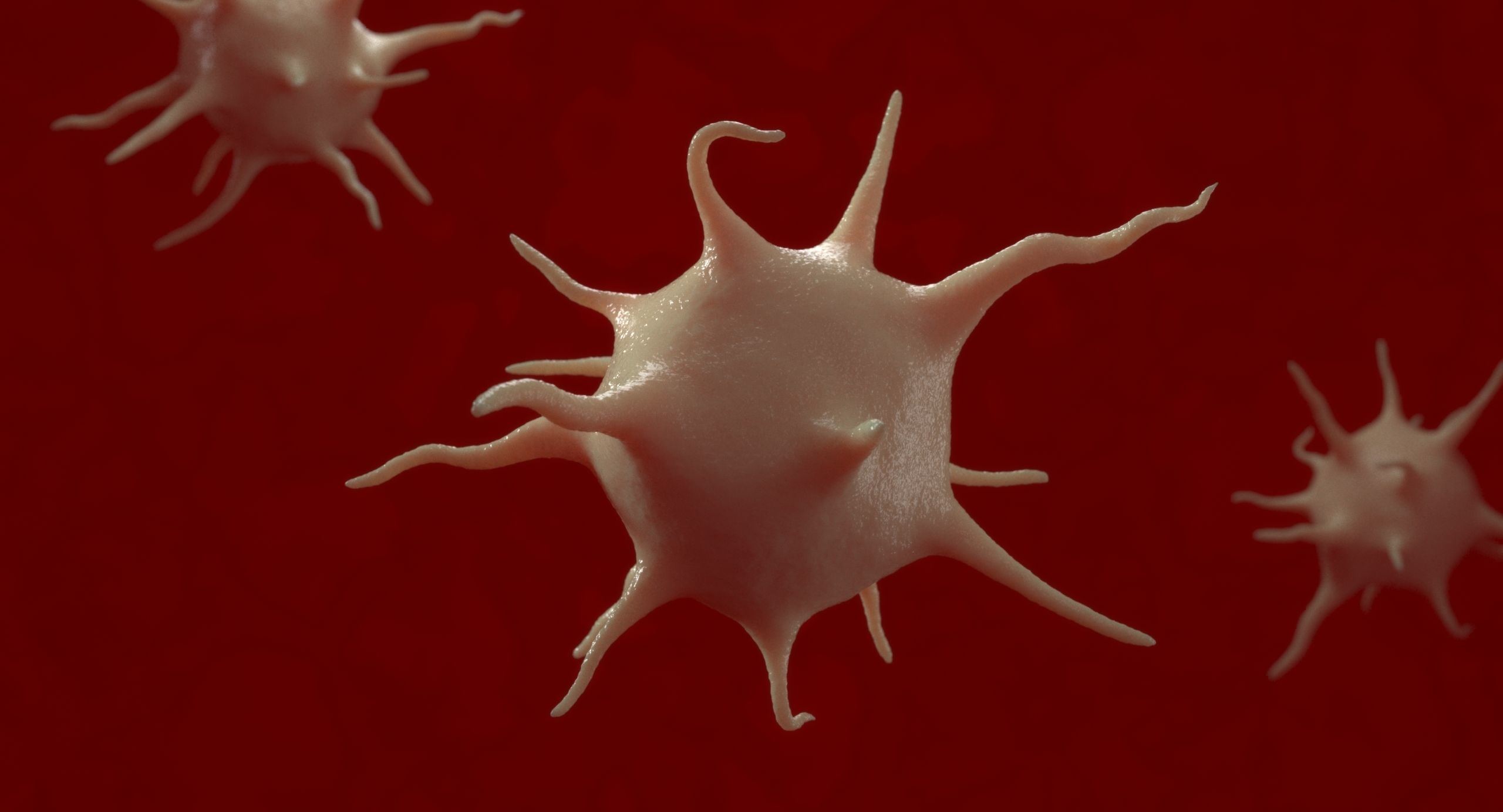 3D model Platelet Thrombocyte 2 VR / AR / low-poly | CGTrader