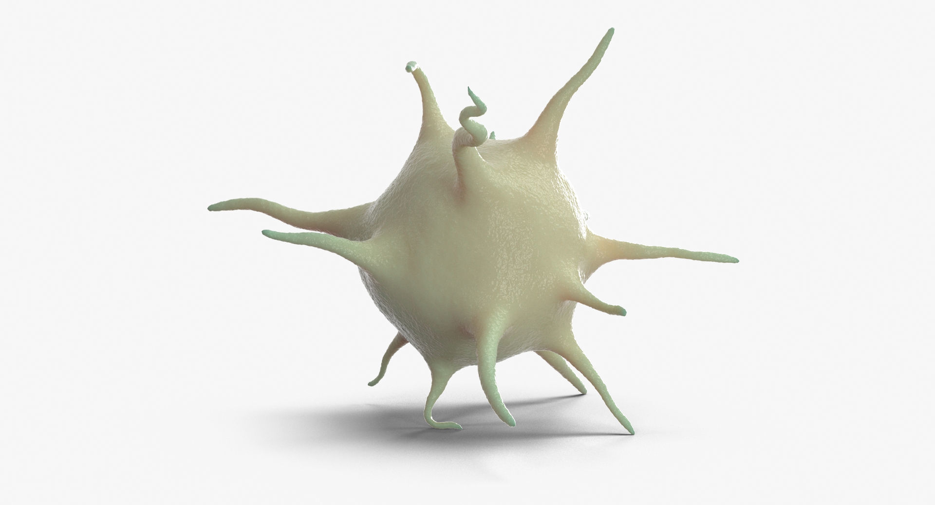 3D model Platelet Thrombocyte 2 VR / AR / low-poly | CGTrader