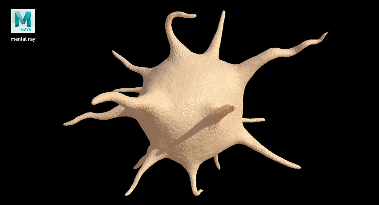 3D model Platelet Thrombocyte 2 VR / AR / low-poly | CGTrader