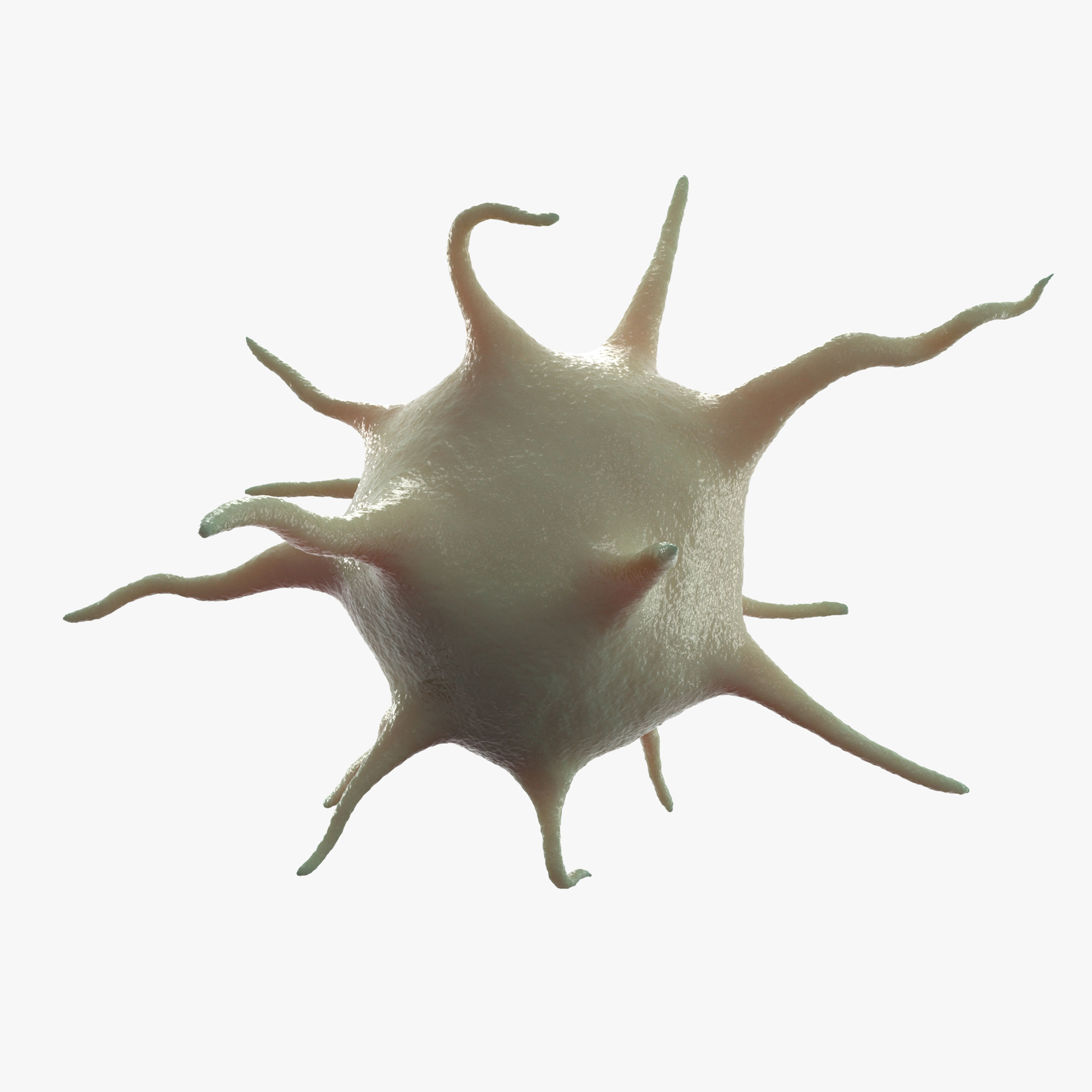 3D model Platelet Thrombocyte 2 VR / AR / low-poly | CGTrader