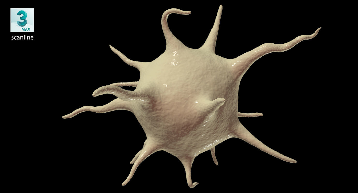 3D model Platelet Thrombocyte 2 VR / AR / low-poly | CGTrader