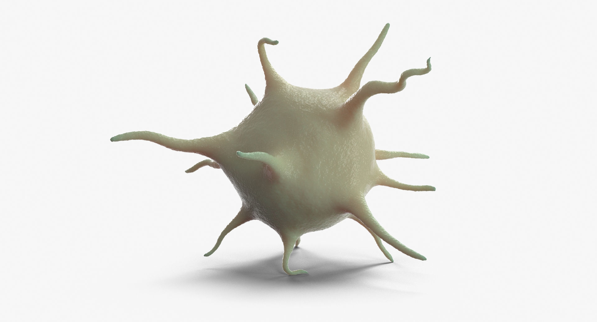 3D model Platelet Thrombocyte 2 VR / AR / low-poly | CGTrader