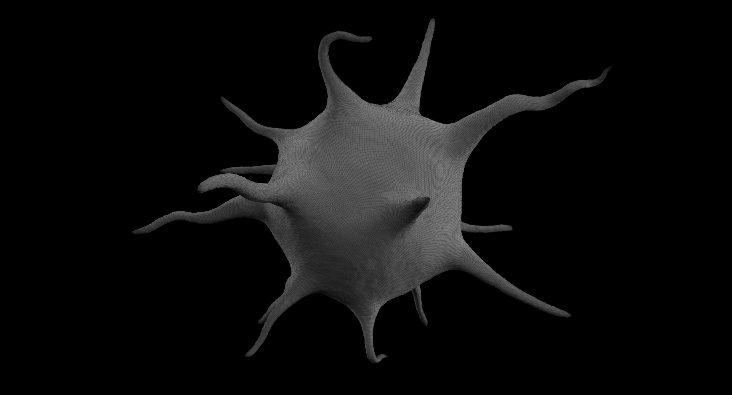 3D model Platelet Thrombocyte 2 VR / AR / low-poly | CGTrader