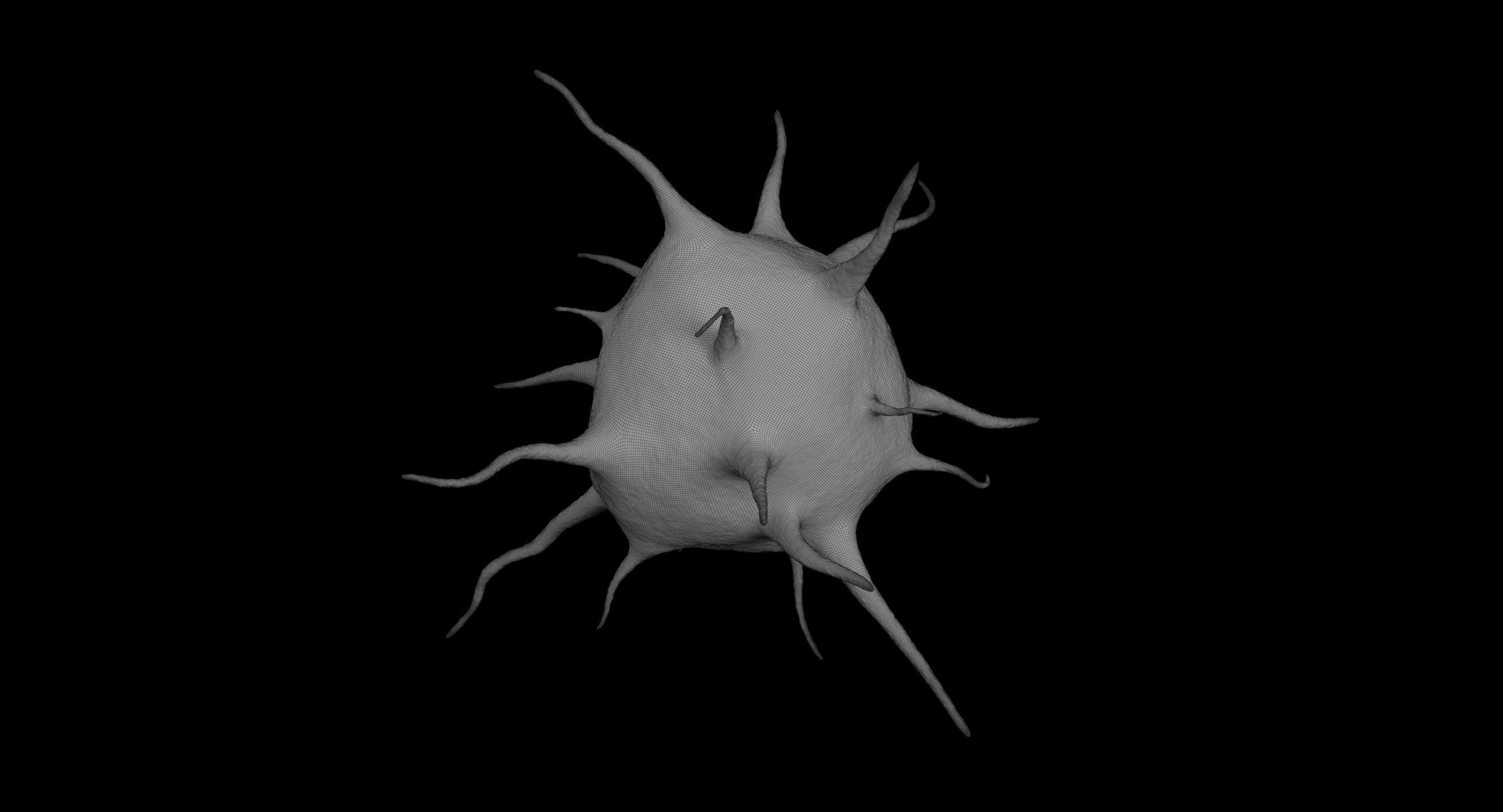 3D model Platelet Thrombocyte 3 VR / AR / low-poly | CGTrader