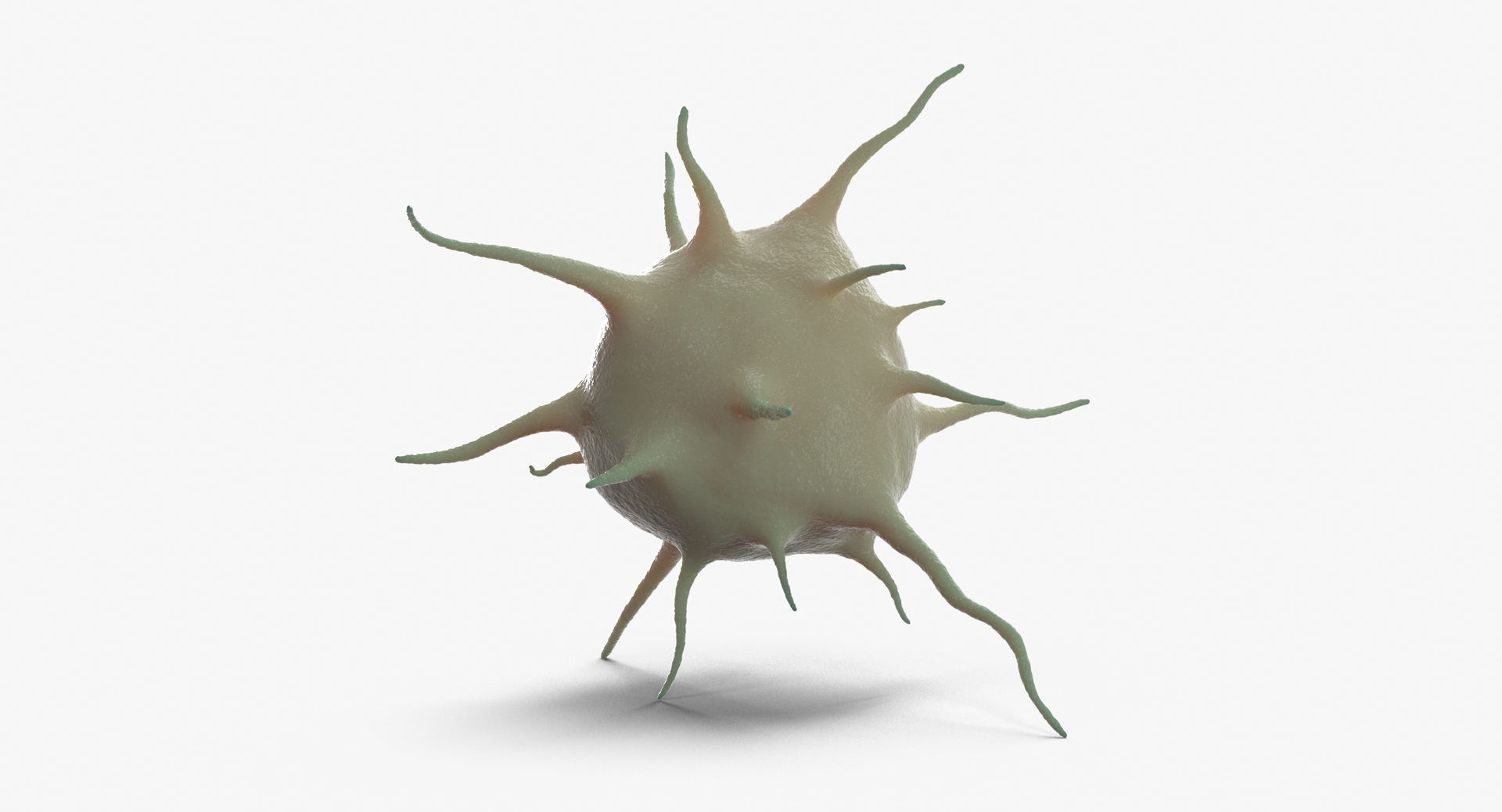 3D model Platelet Thrombocyte 3 VR / AR / low-poly | CGTrader