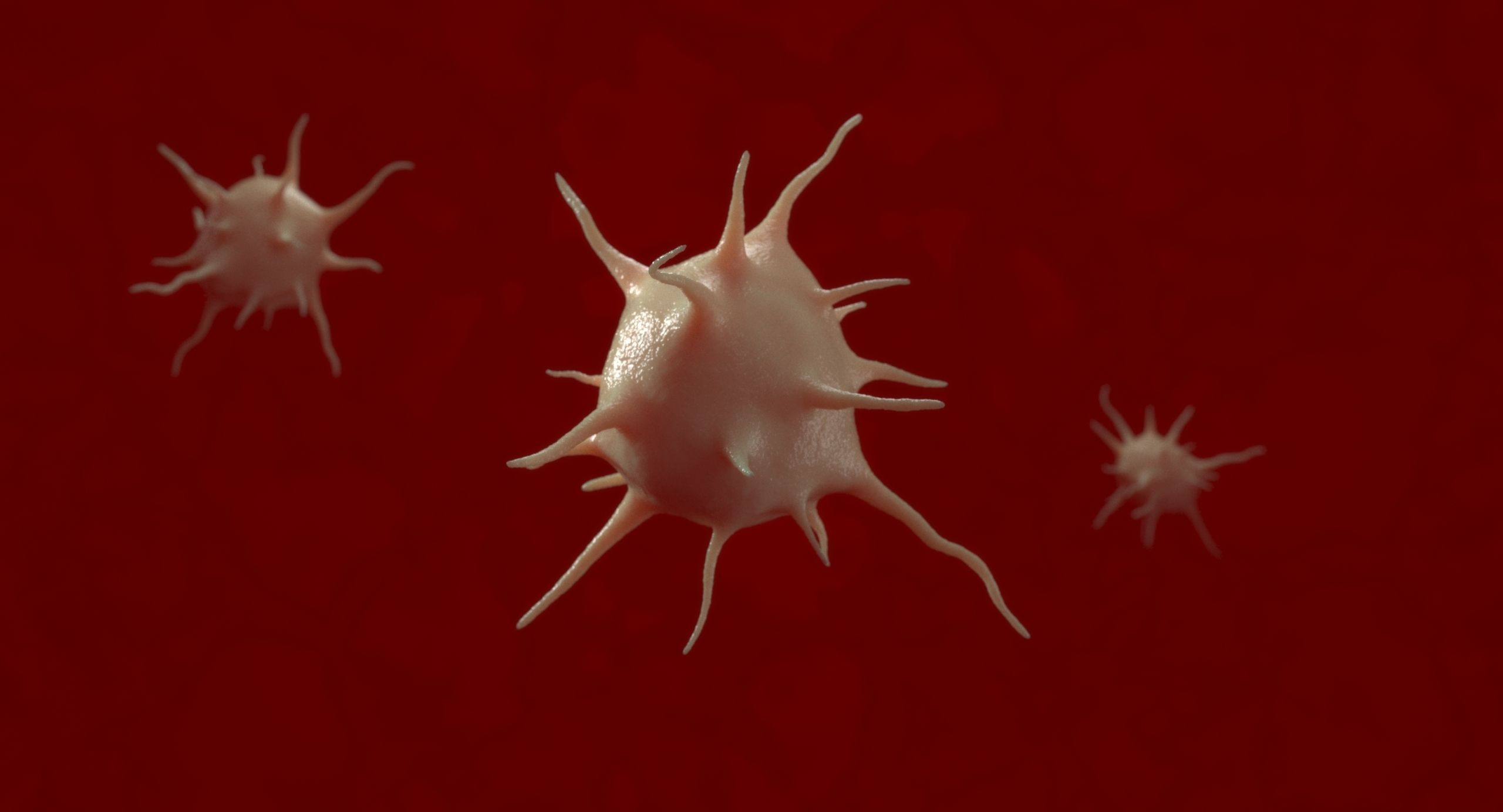 3D model Platelet Thrombocyte 3 VR / AR / low-poly | CGTrader