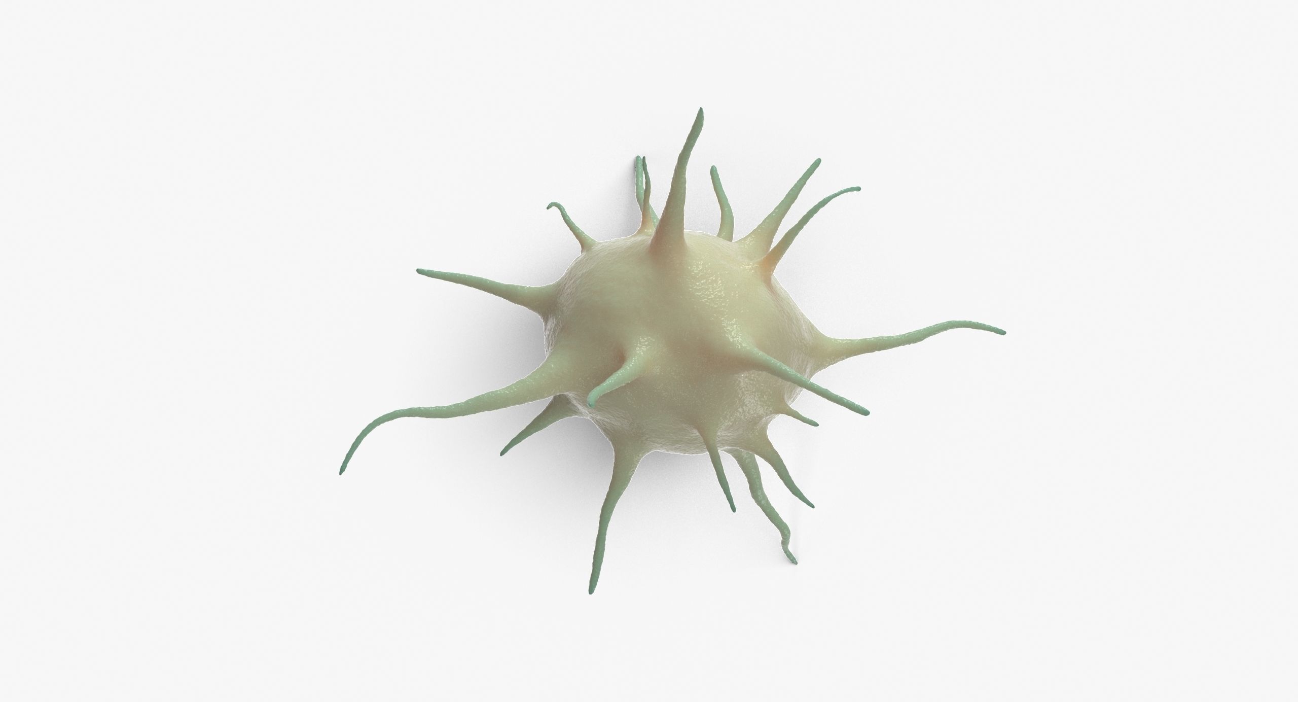 3D model Platelet Thrombocyte 3 VR / AR / low-poly | CGTrader