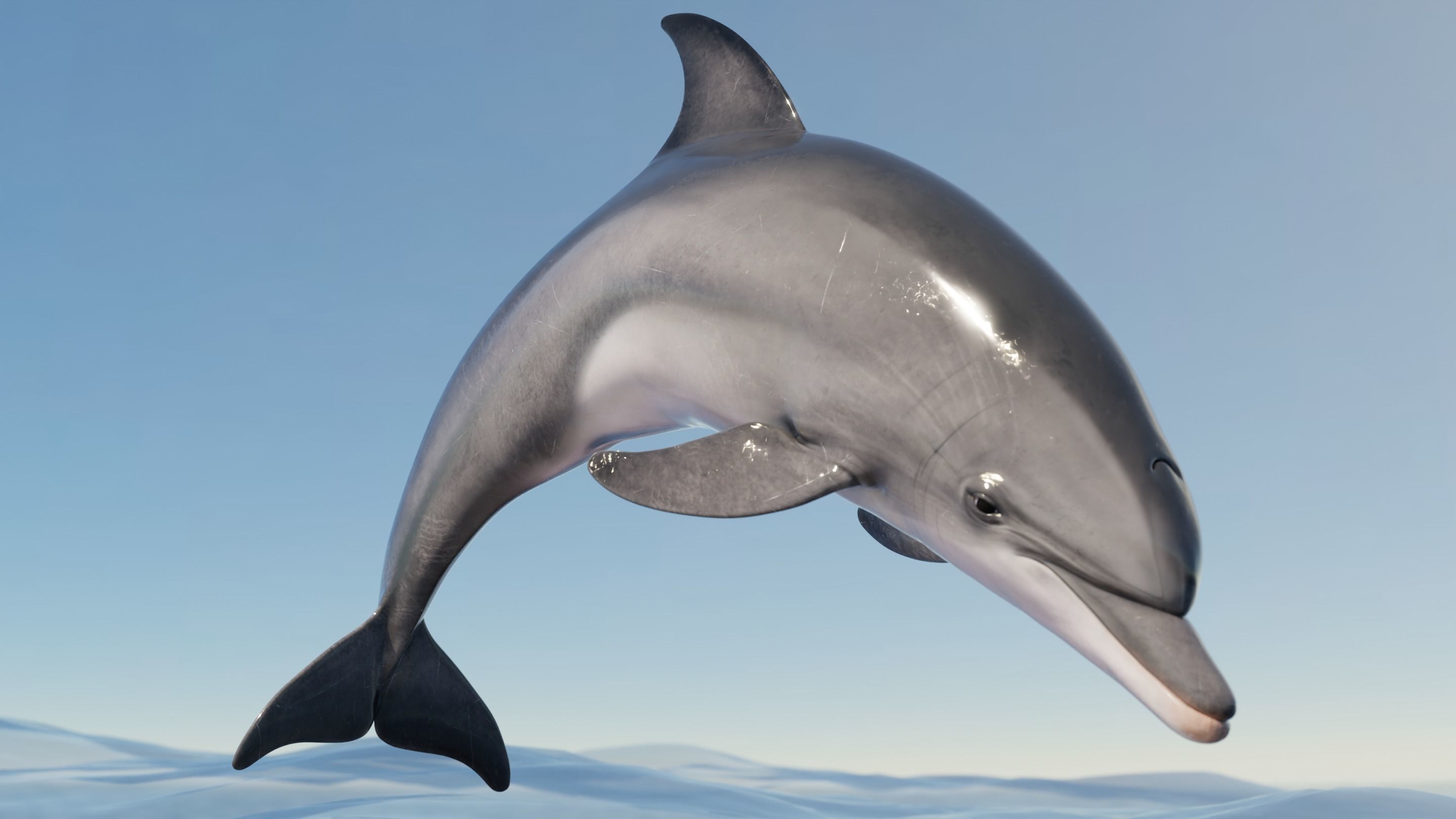 3D model Dolphin Animated VR / AR / low-poly | CGTrader