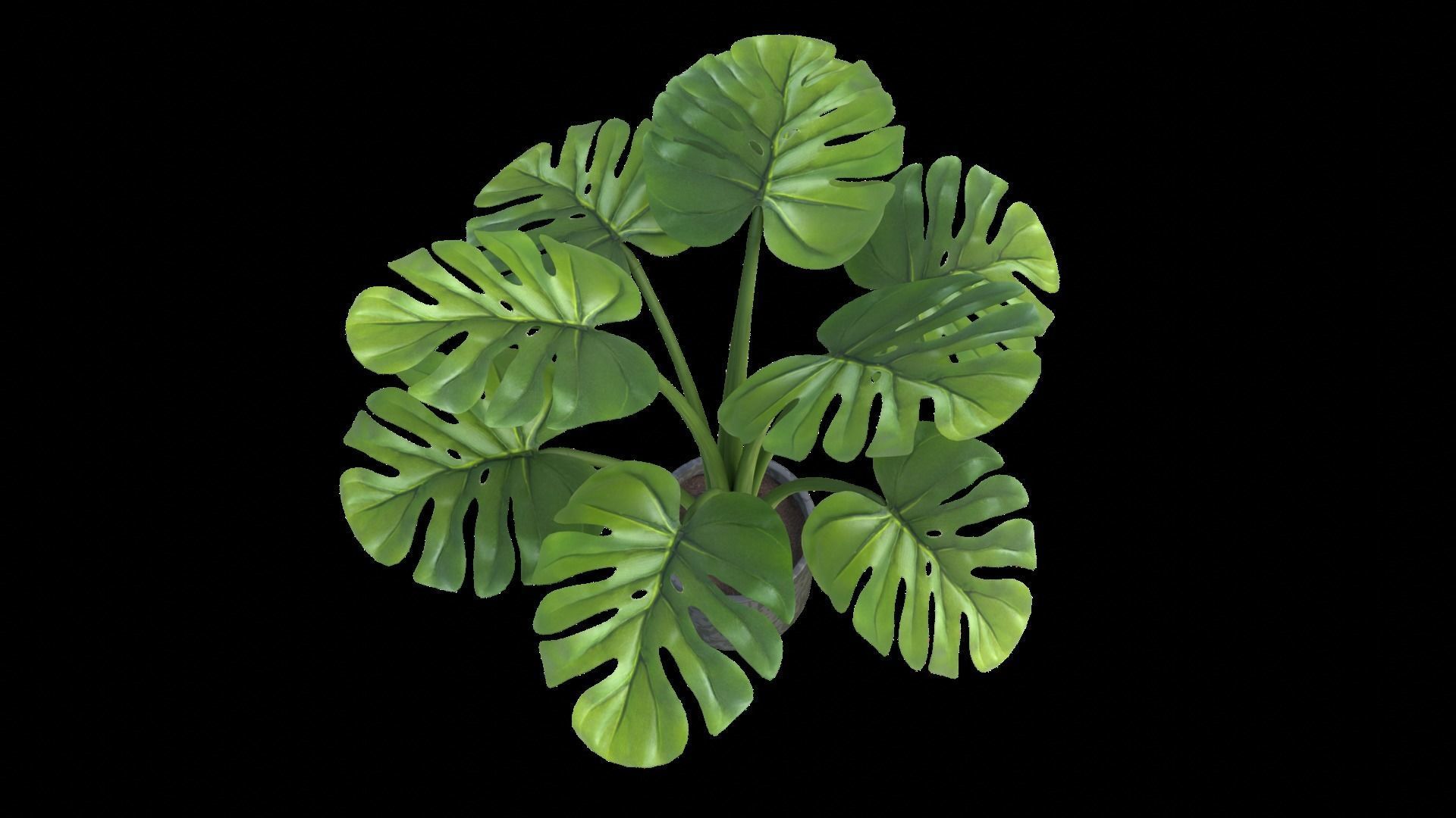 plastic plant pots free free 3D model | CGTrader
