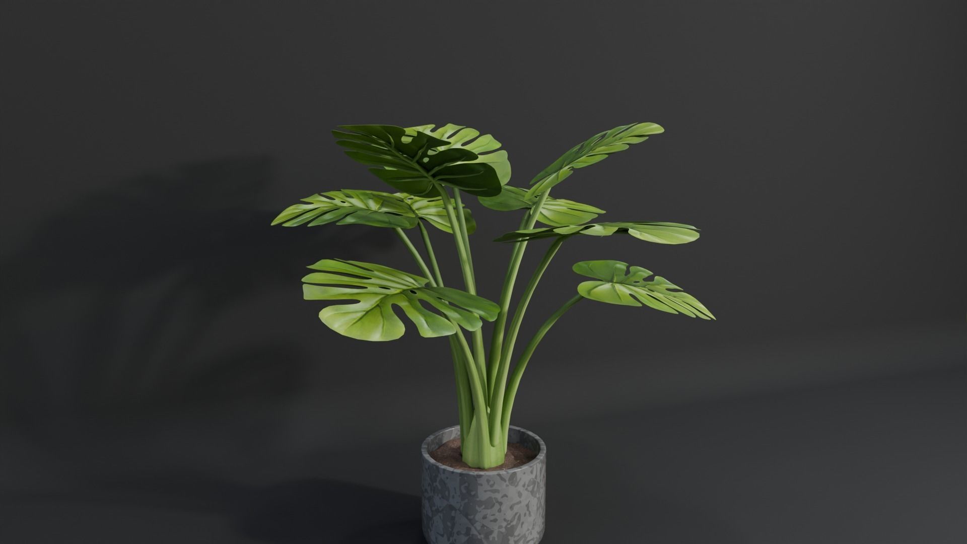 plastic plant pots free free 3D model | CGTrader