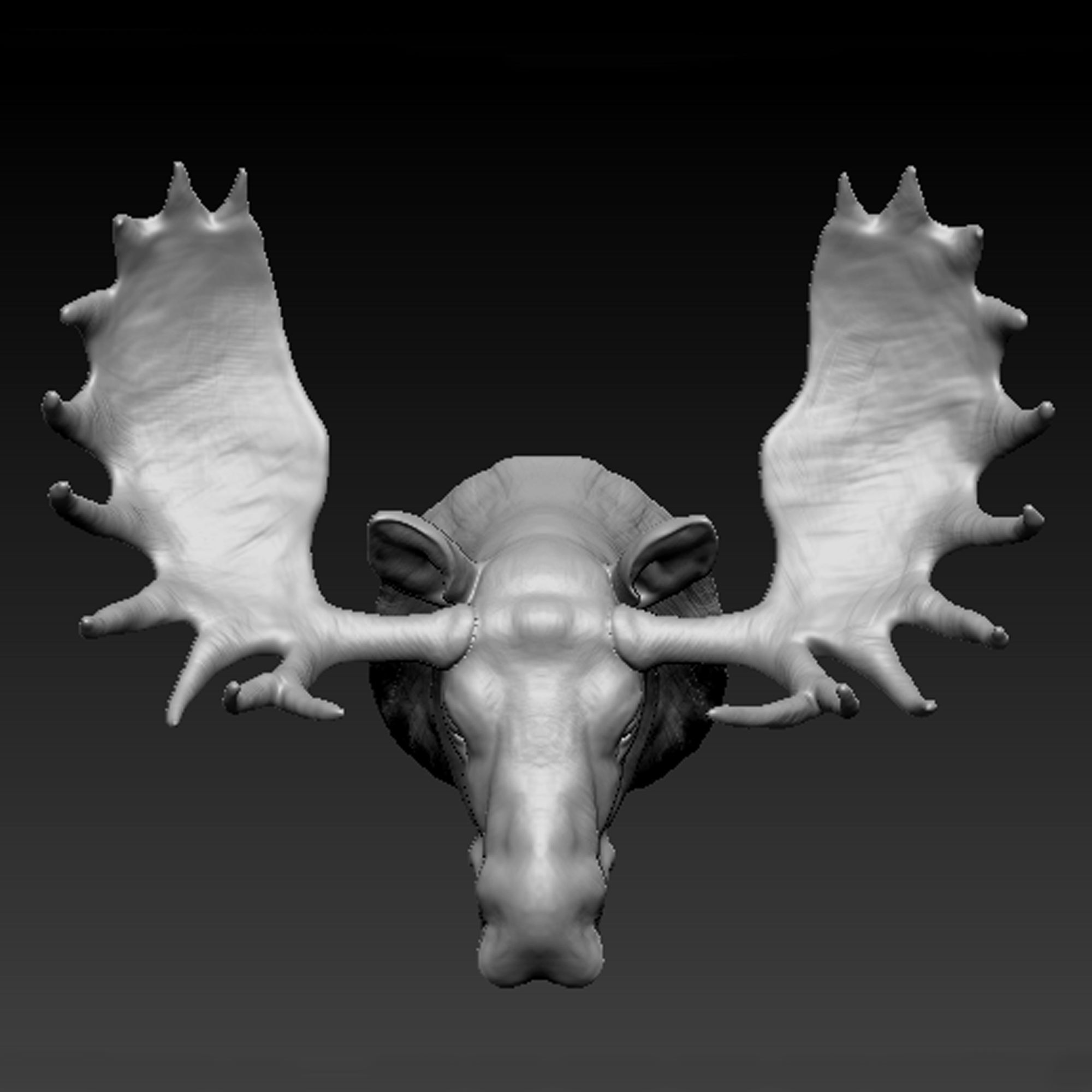 Moose Head 3D model 3D printable | CGTrader
