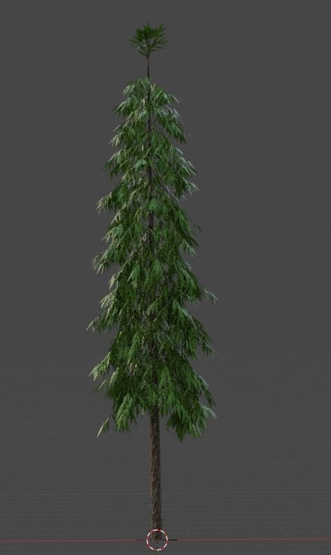 polygonia longifolium Plant 3D model - Asopalav Tree 3D model 3D model ...