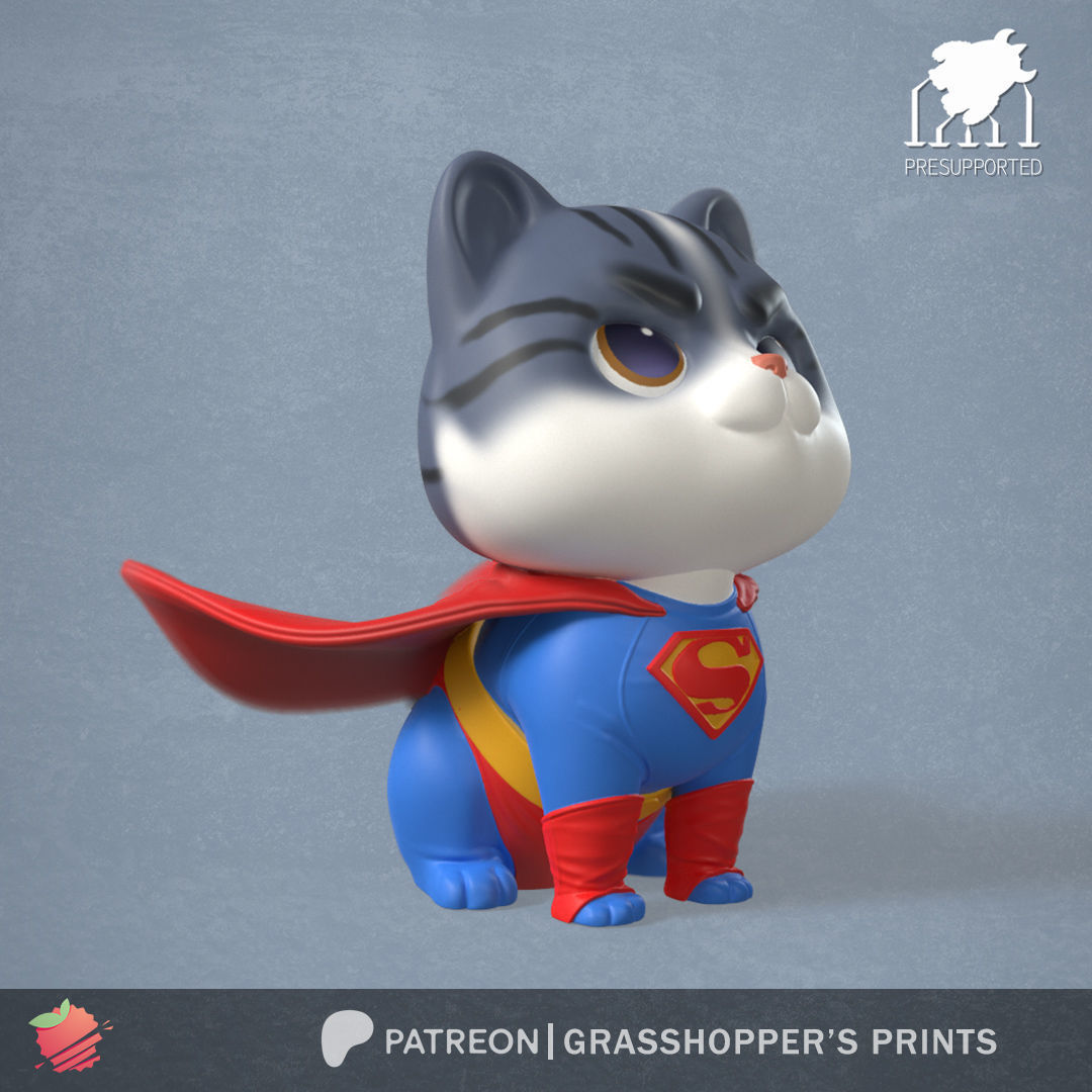 Supercat aka Superman cat 3D model 3D printable | CGTrader
