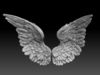 angel wings 3D model 3D printable | CGTrader