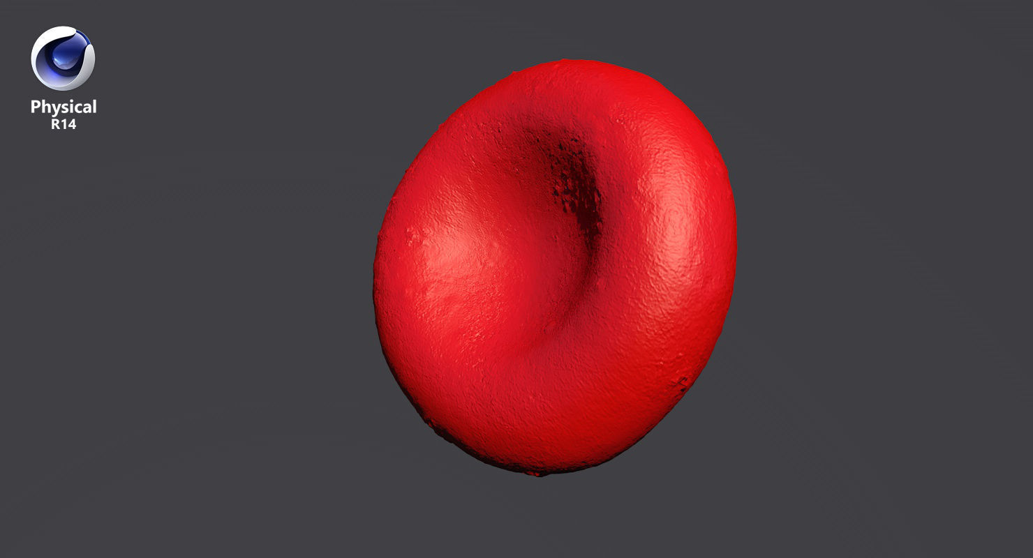 3D model Red Blood Cell Erythrocyte VR / AR / low-poly | CGTrader