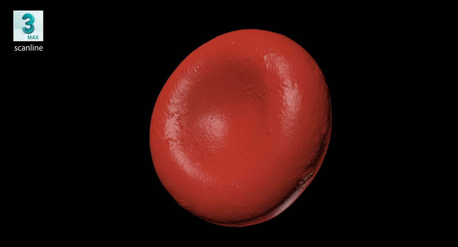 3D model Red Blood Cell Erythrocyte VR / AR / low-poly | CGTrader