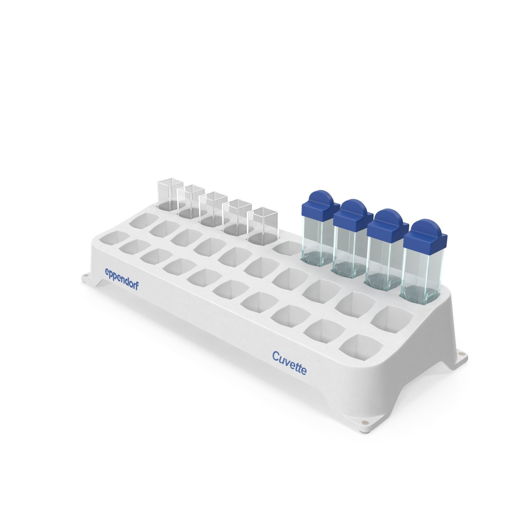 3D model Eppendorf tube rack Cuvette VR / AR / low-poly | CGTrader