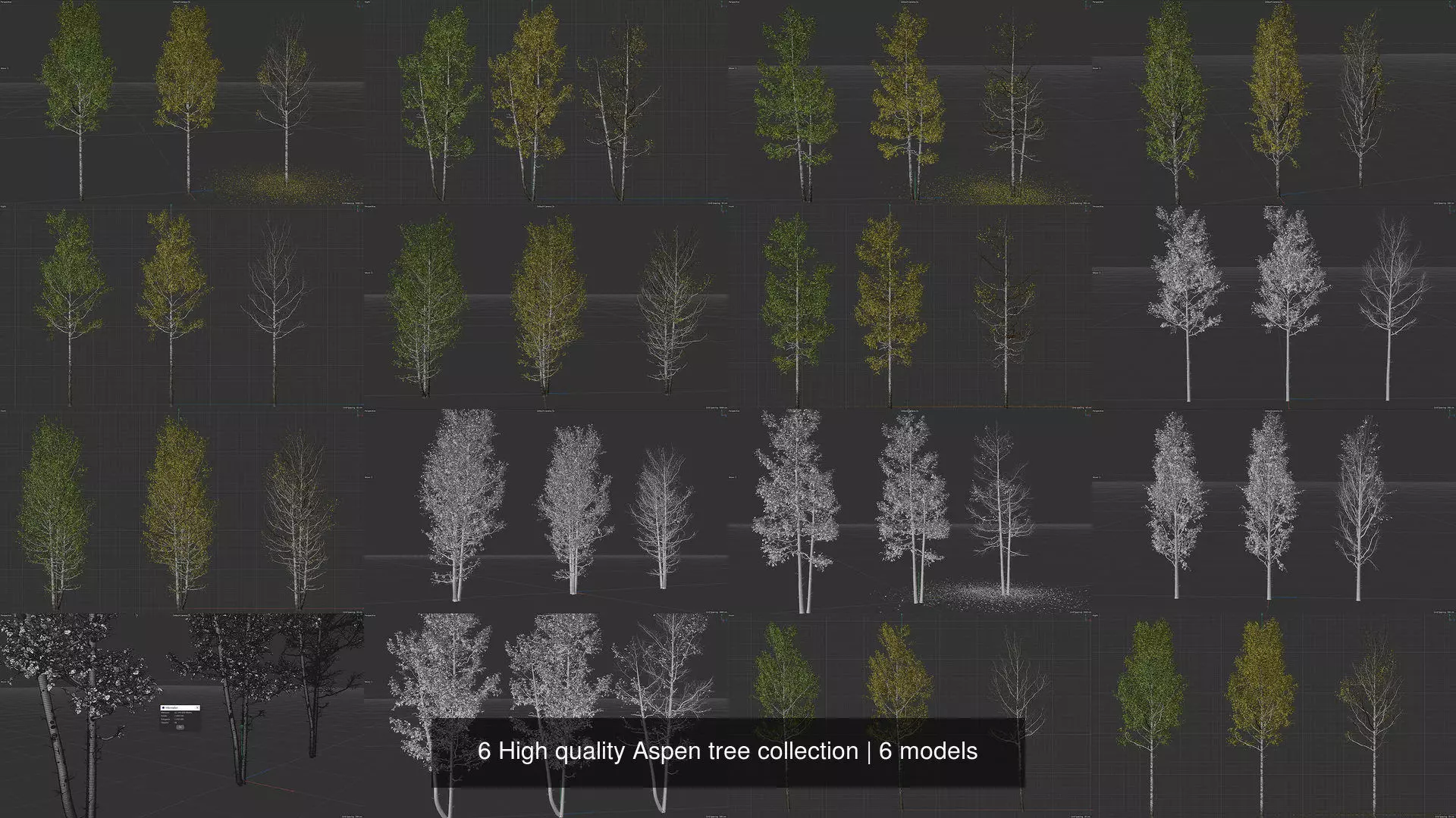 6 High quality Aspen tree collection 3D Model Pack | CGTrader