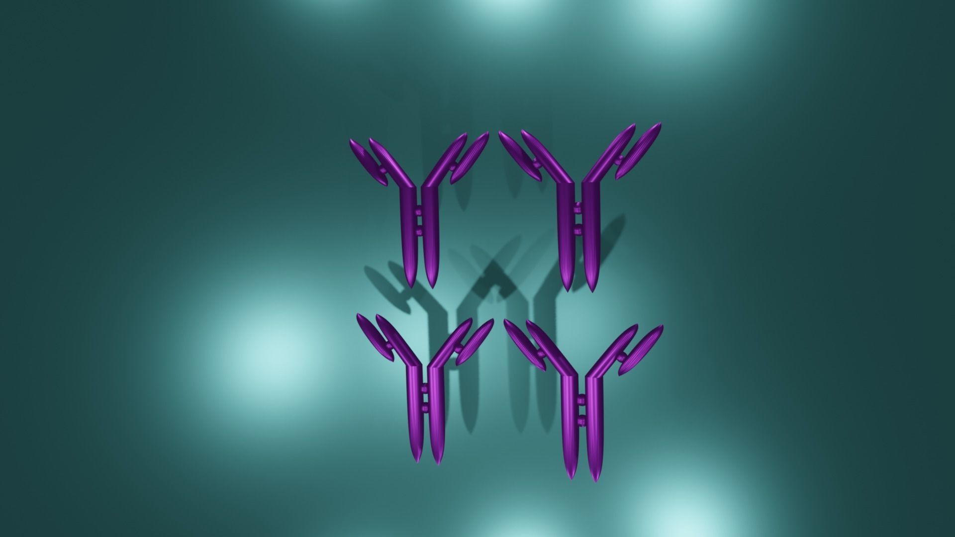 3D model of Immunoglobulin IgG - monomer 3D model | CGTrader