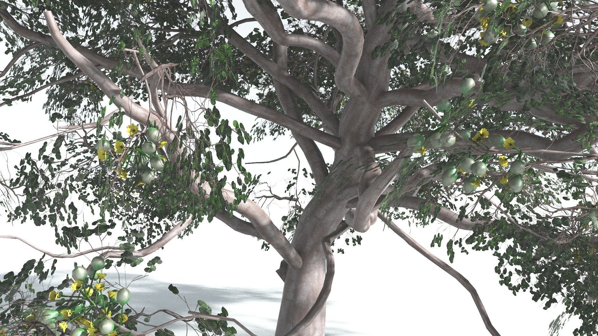 EVERYPlant Portia Tree 1 --14 Models-- 3D model | CGTrader