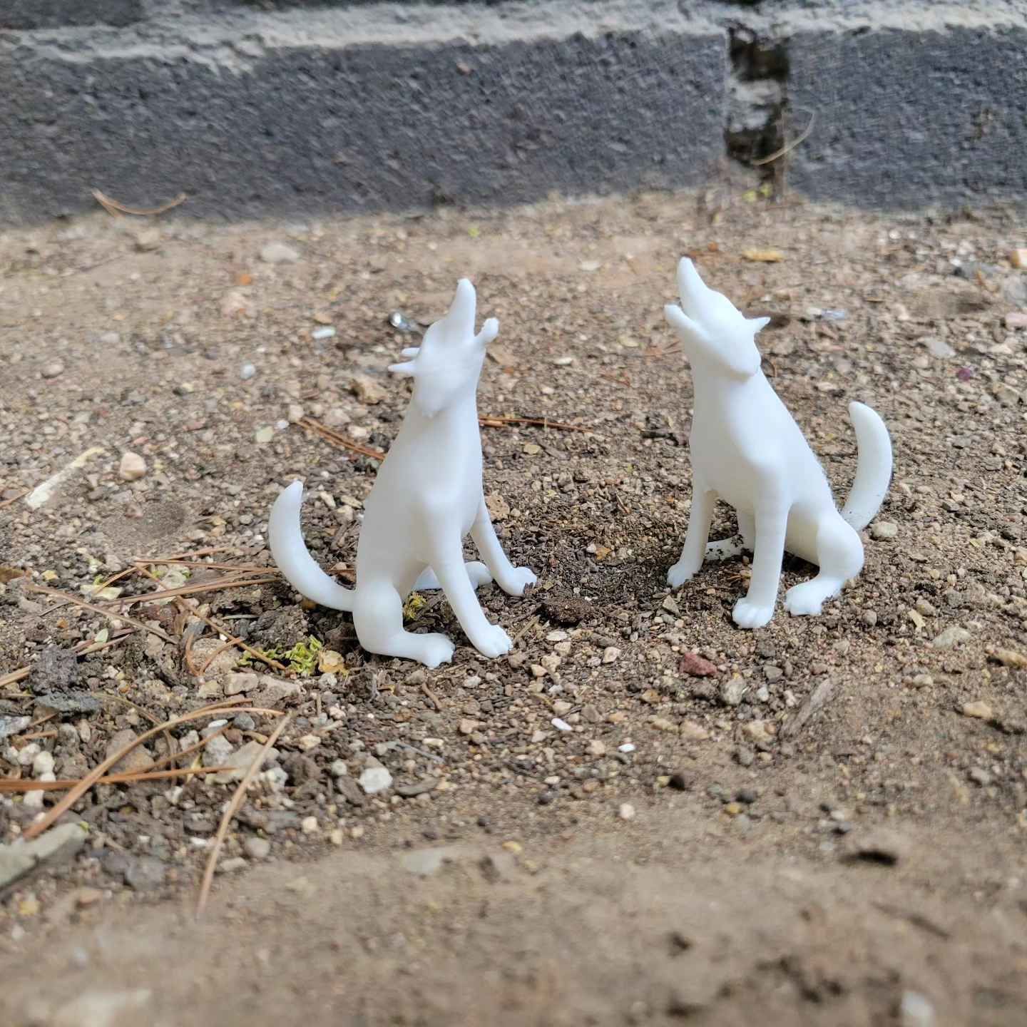 Howling Coyote 3D model 3D printable | CGTrader