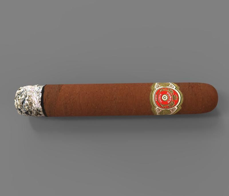 The Cigar 3D model | CGTrader