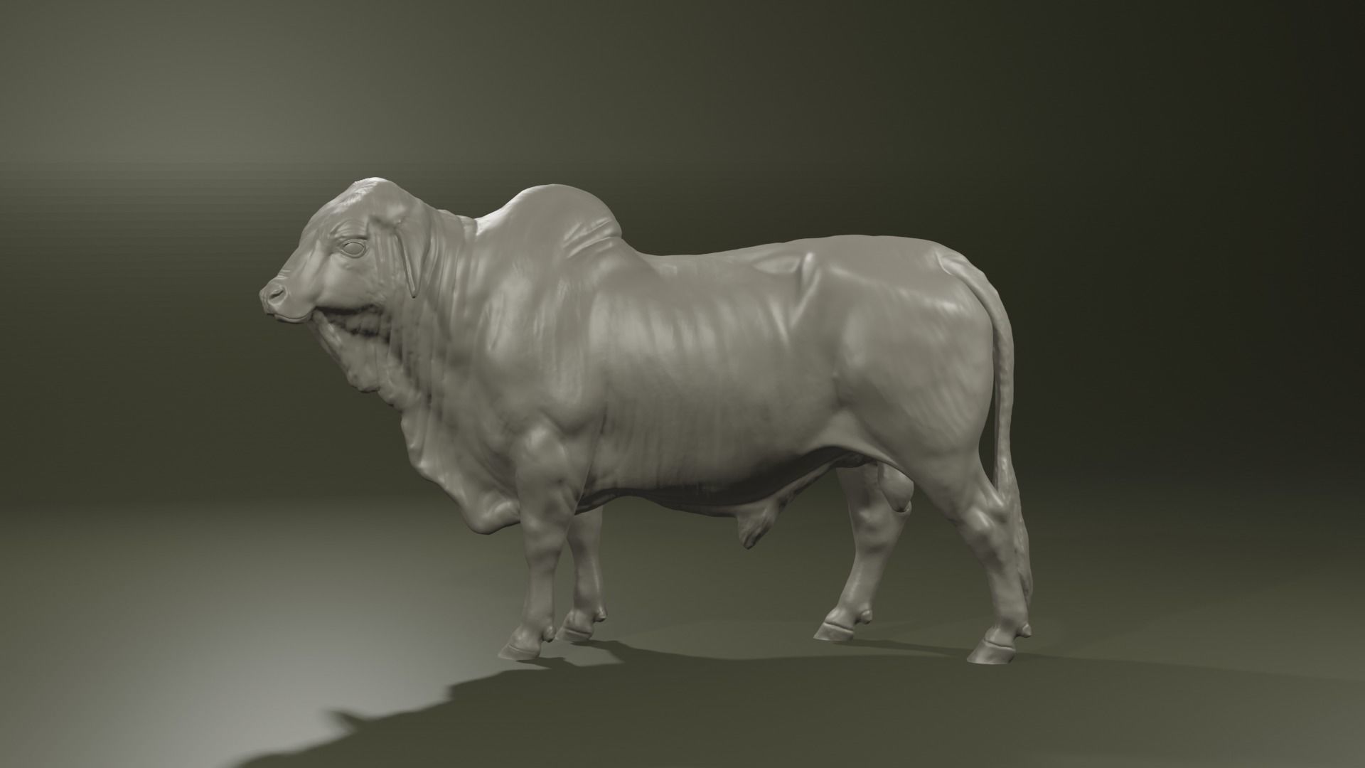 Zebu Brahman cow bull realistic model for printing 3D model 3D ...
