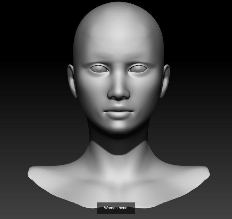 Male Heads and Female Heads base mesh 4 model 3D Model Collection ...